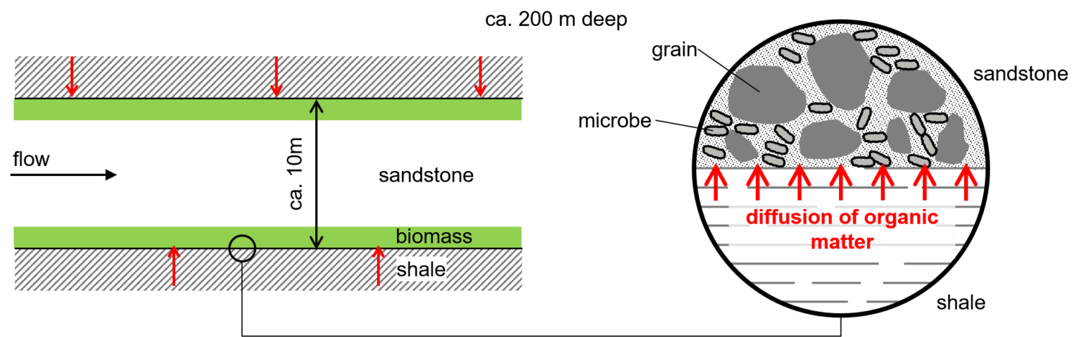 Modelling microbial processes at material interfaces in the deep ...